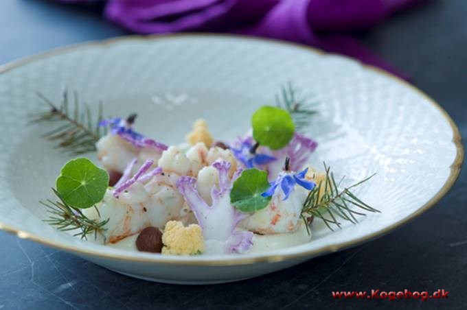 Jomfruhummer med blomkål og grannåle