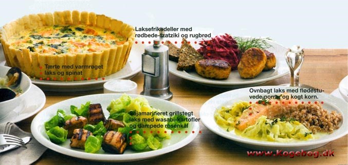Lækkert med laks - 5 dejlige retter med laks Kogebog.dk