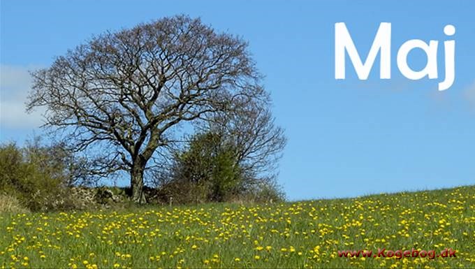 Maj sæson for vores råvarer på Kogebog.dk