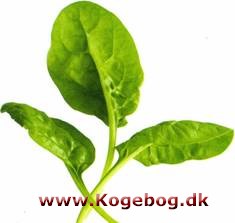 Spinattærte - bedste opskrift og klart fra Kogebog.dk