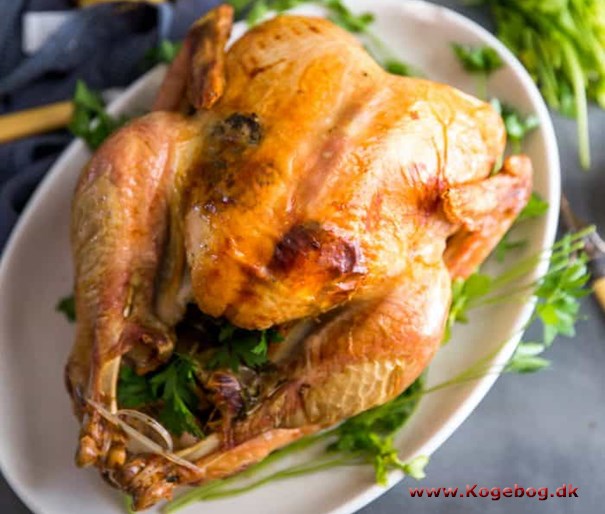 Græsk kalkun - den bedste opskrift er fra Kogebog.dk