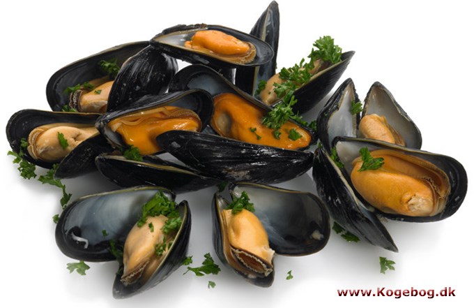 Sådan koges muslinger - god opskrift fra Kogebog.dk