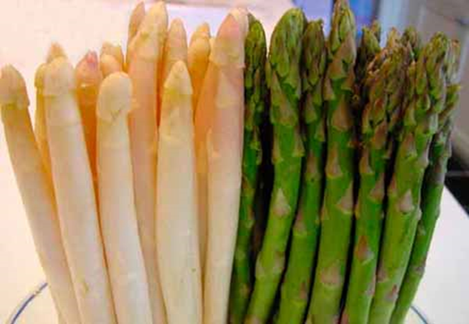 Asparges – Asparagus | let og godt på Kogebog.dk