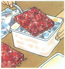 Frysning af kød - prøv Kogebog.dk først 💘