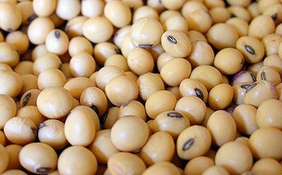 Sojabønner | let og godt på Kogebog.dk 💘