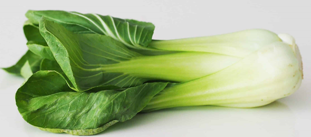 Bok choy – se nu Kogebog.dk 🎯